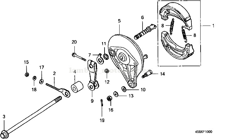 Rear Brake Panel – LAMBDA MOTORCYCLES